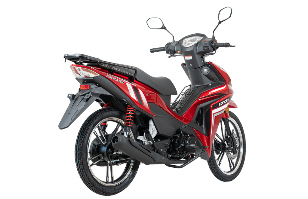 Dolphin 110 | Loncin Dominicana